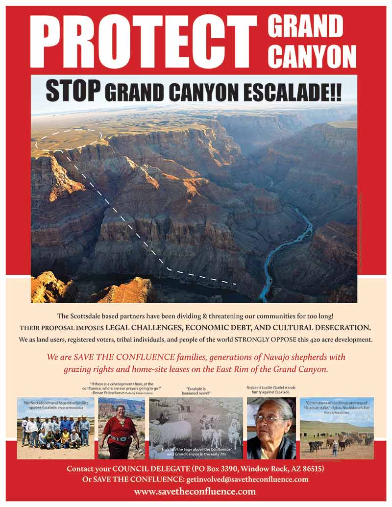 GCT-STC-flyer.fact-sheet-cover - Save the Confluence